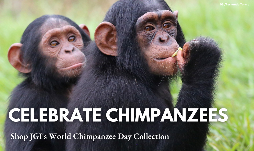 Home | Jane Goodall Official Store USA